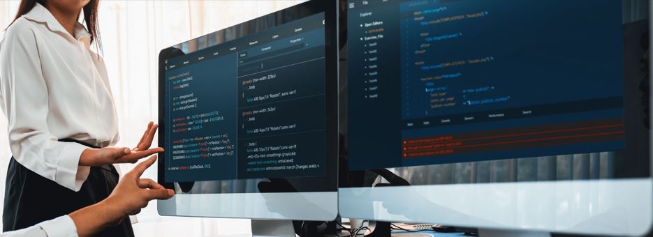 Desarrollador de Software Junior (D. N.)